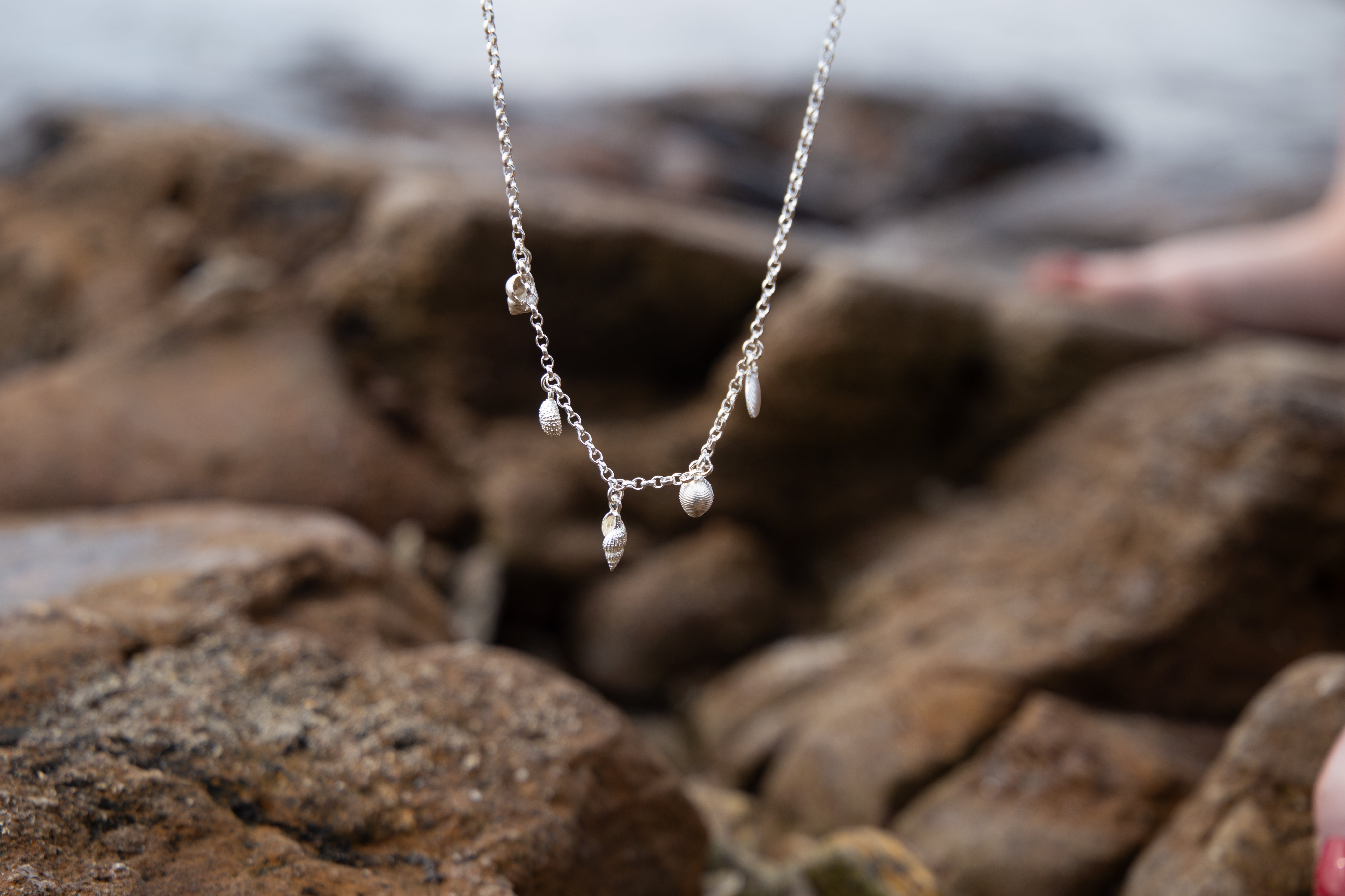 Introducing The Shell Collector – Alison Moore Designs
