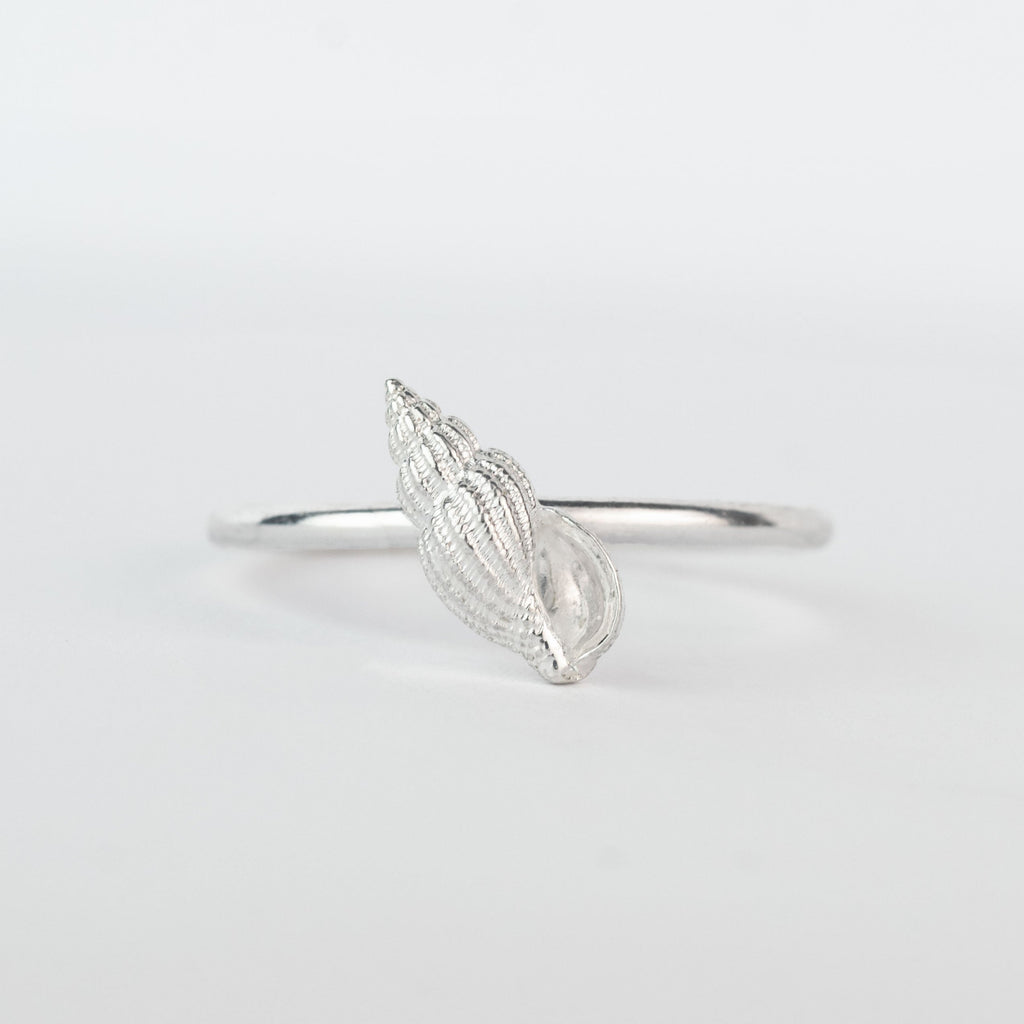 Mini Whelk Shell Silver Stacking Ring – Alison Moore Designs