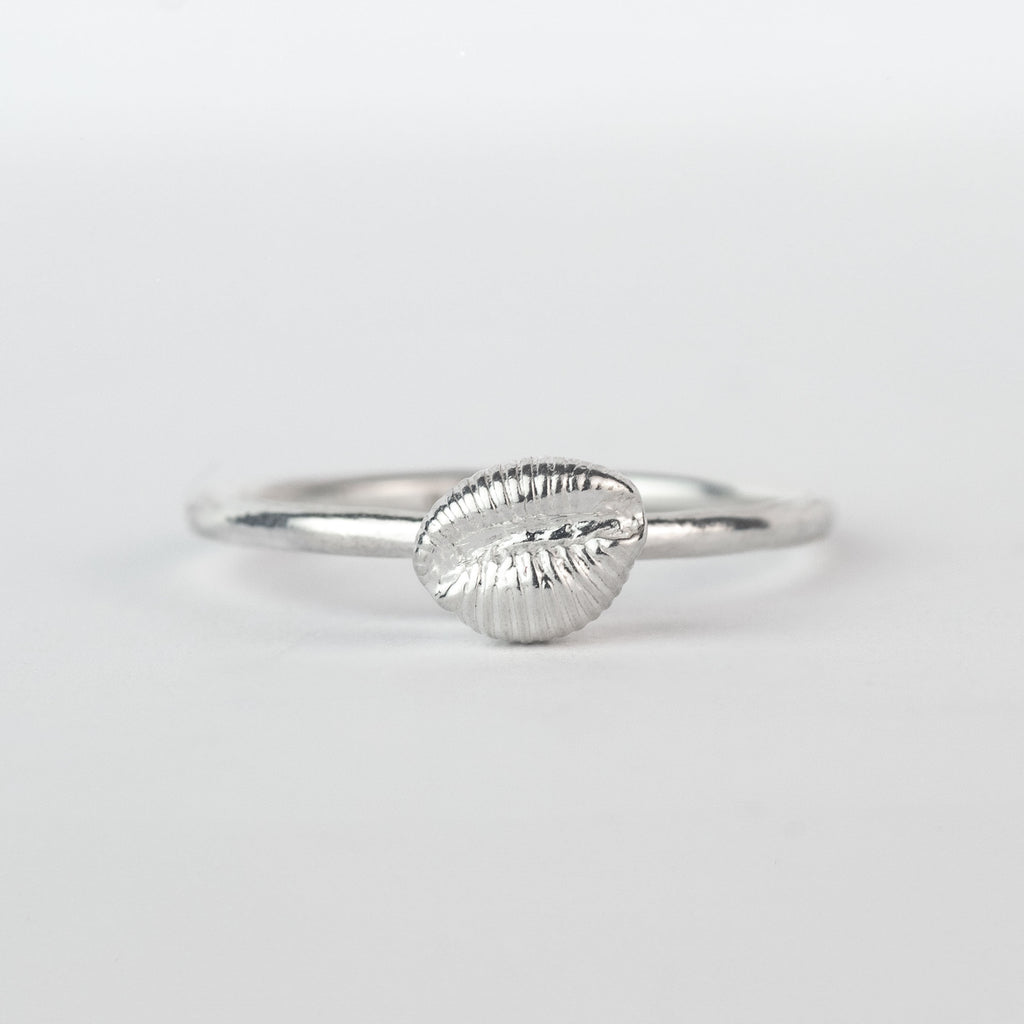 Mini Groatie Buckie Shell Silver Stacking Ring – Alison Moore Designs