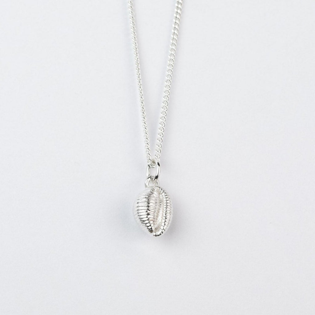 Silver Cowrie Shell Pendant | Groatie Buckie Necklace | Handmade in ...